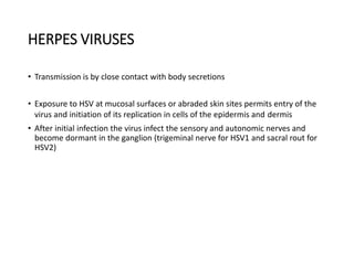 hsv infections feb 2018.ppt