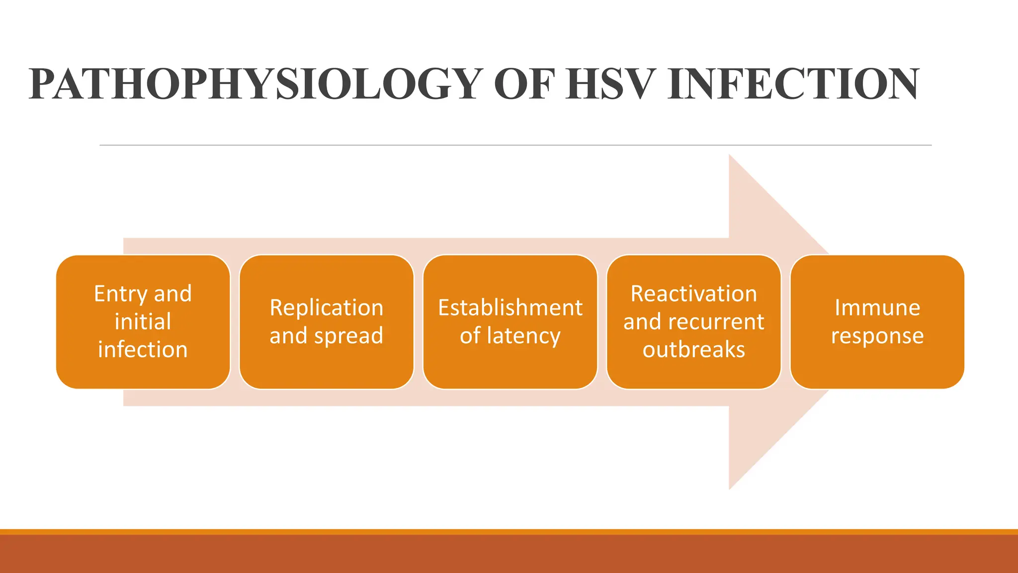 HERPES SIMPLEX VIRUS INFECTIONS PPT.pptx