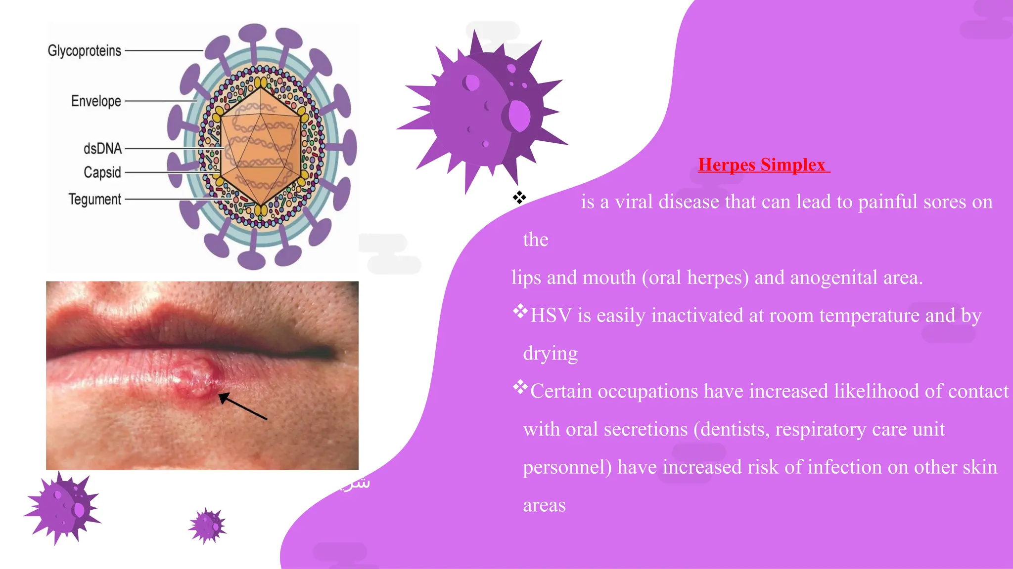 HSV presentation.pptx afg gigf jfhh hioh | PPT