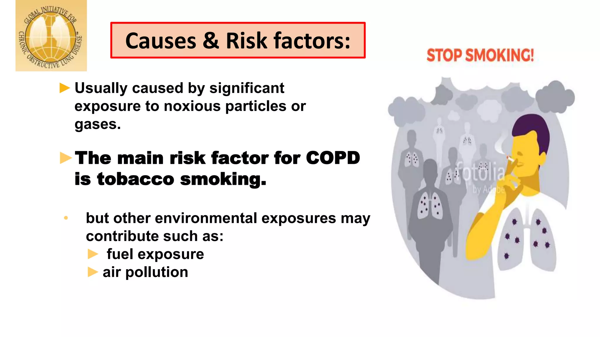 Brief summary on gold 2019 guidelines on copd | PPTX