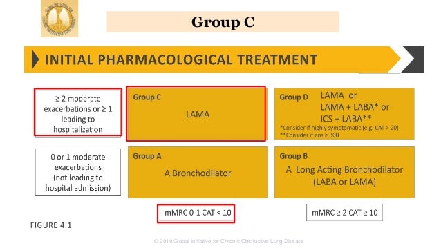 Brief summary on gold 2019 guidelines on copd
