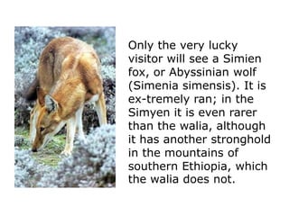 Simien national park | PPT