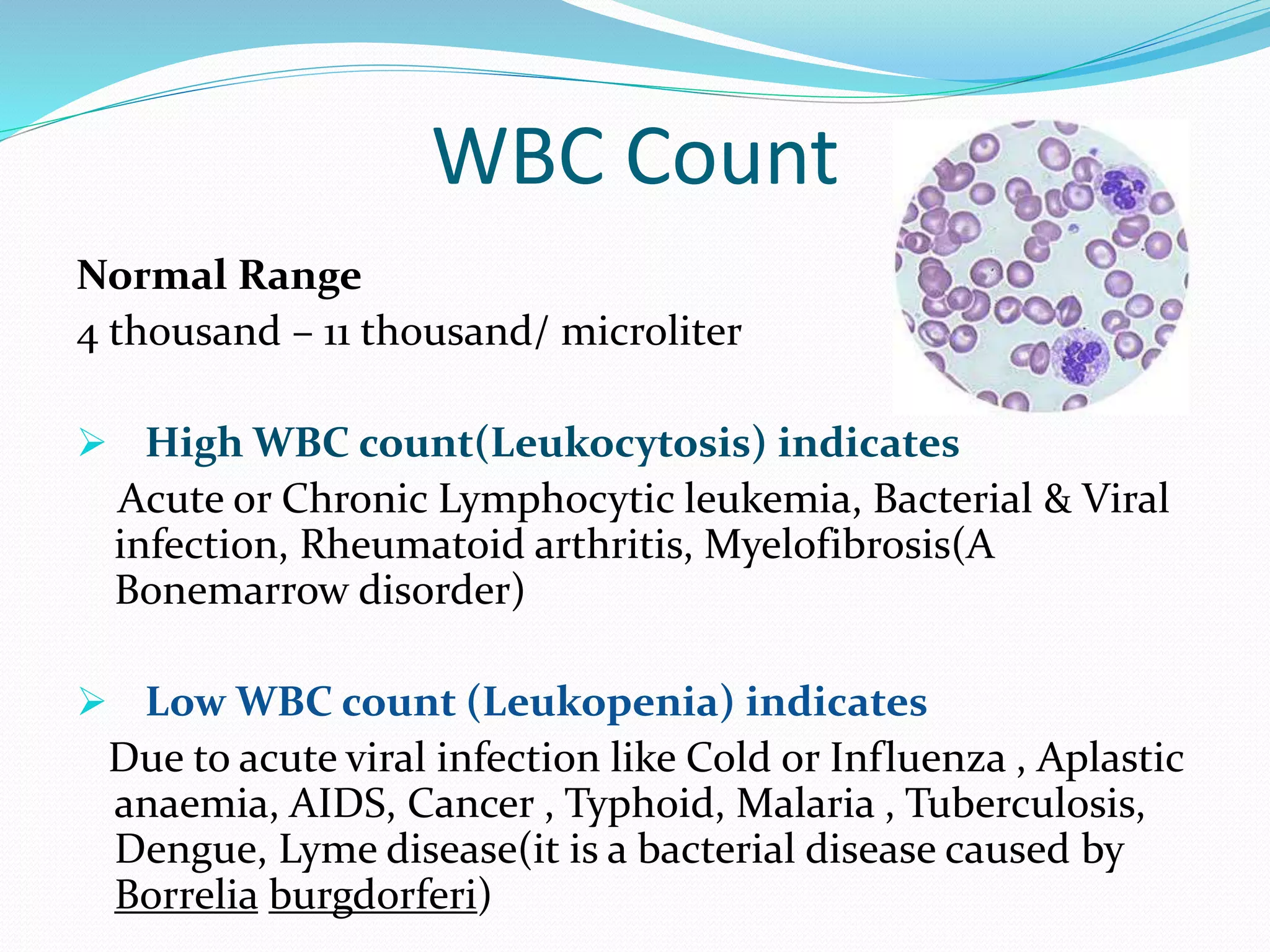 COMPLETE BLOOD COUNT | PPTX