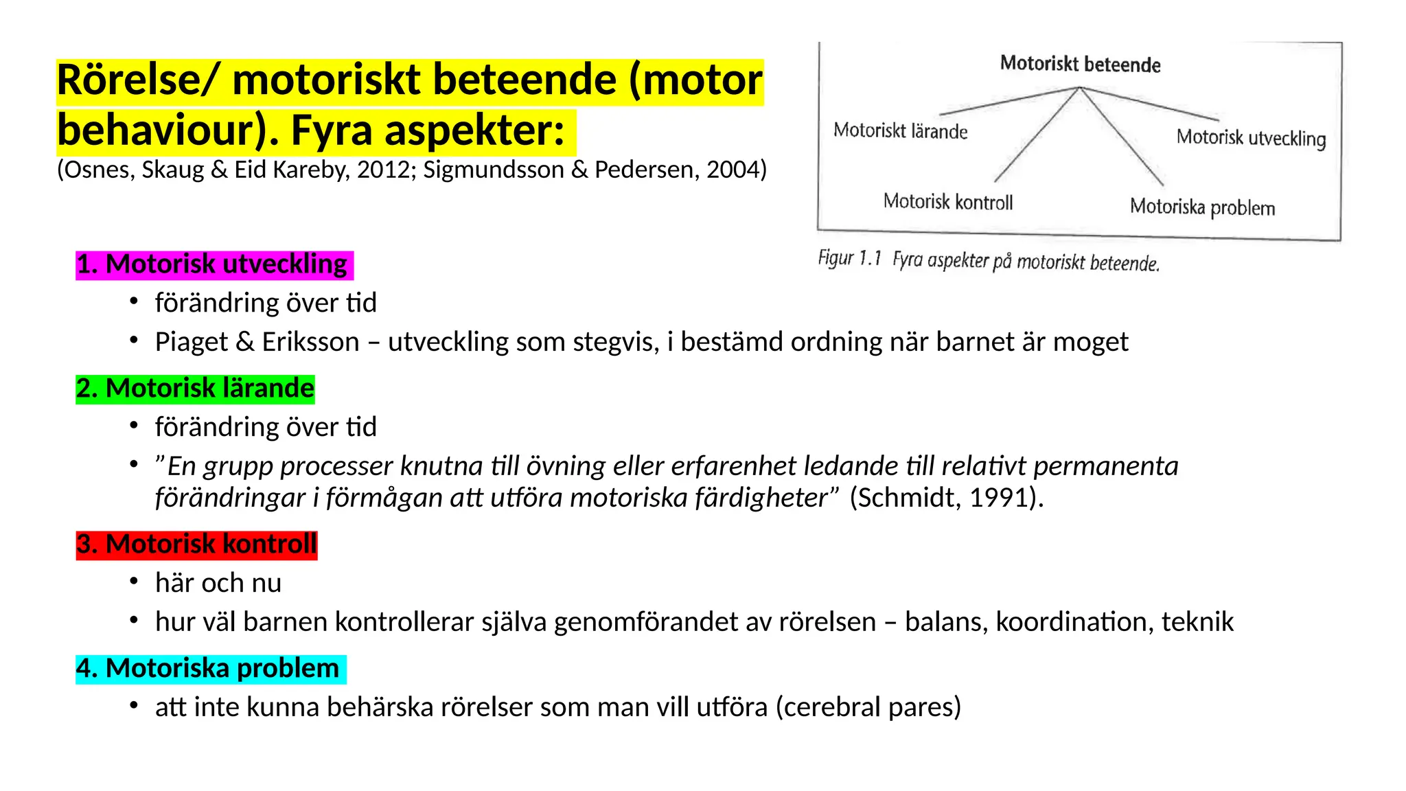 Föreläsning Hälsa, motorik och rörelse i förskolan | PPTX