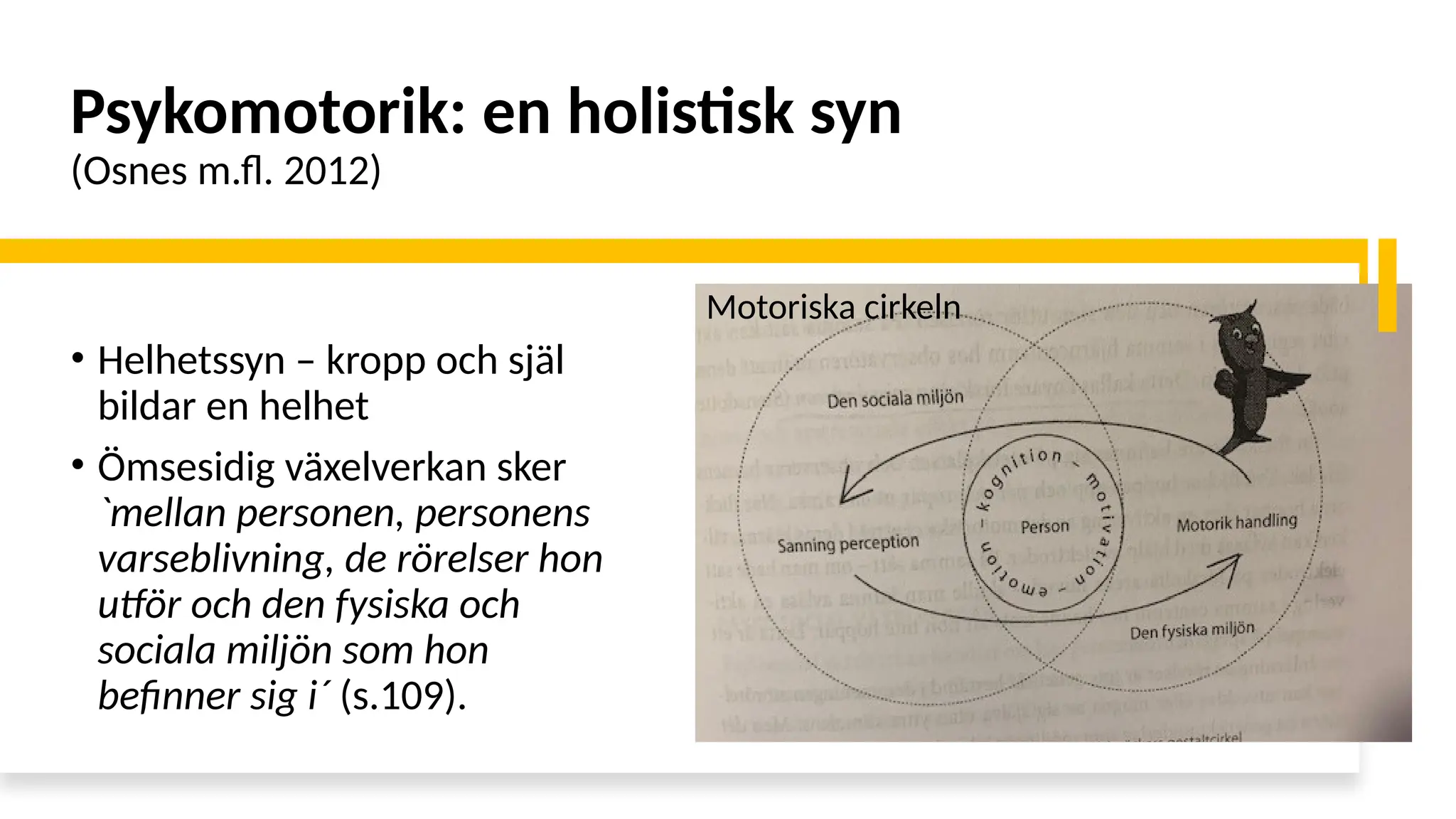Föreläsning Hälsa, motorik och rörelse i förskolan | PPTX