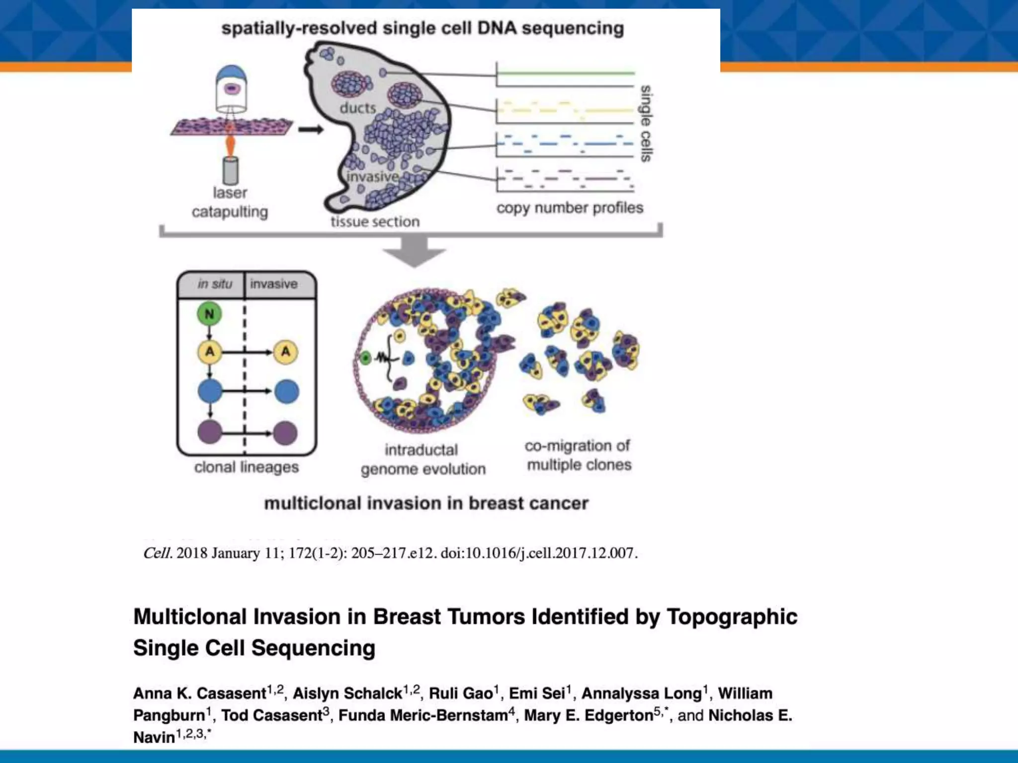 NCI HTAN, cancer trajectories, precision oncology | PPTX
