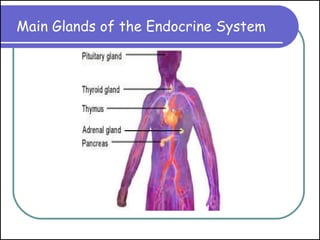 H:\Technology Applications\The Endocrine System2 Ppt2 | PPT