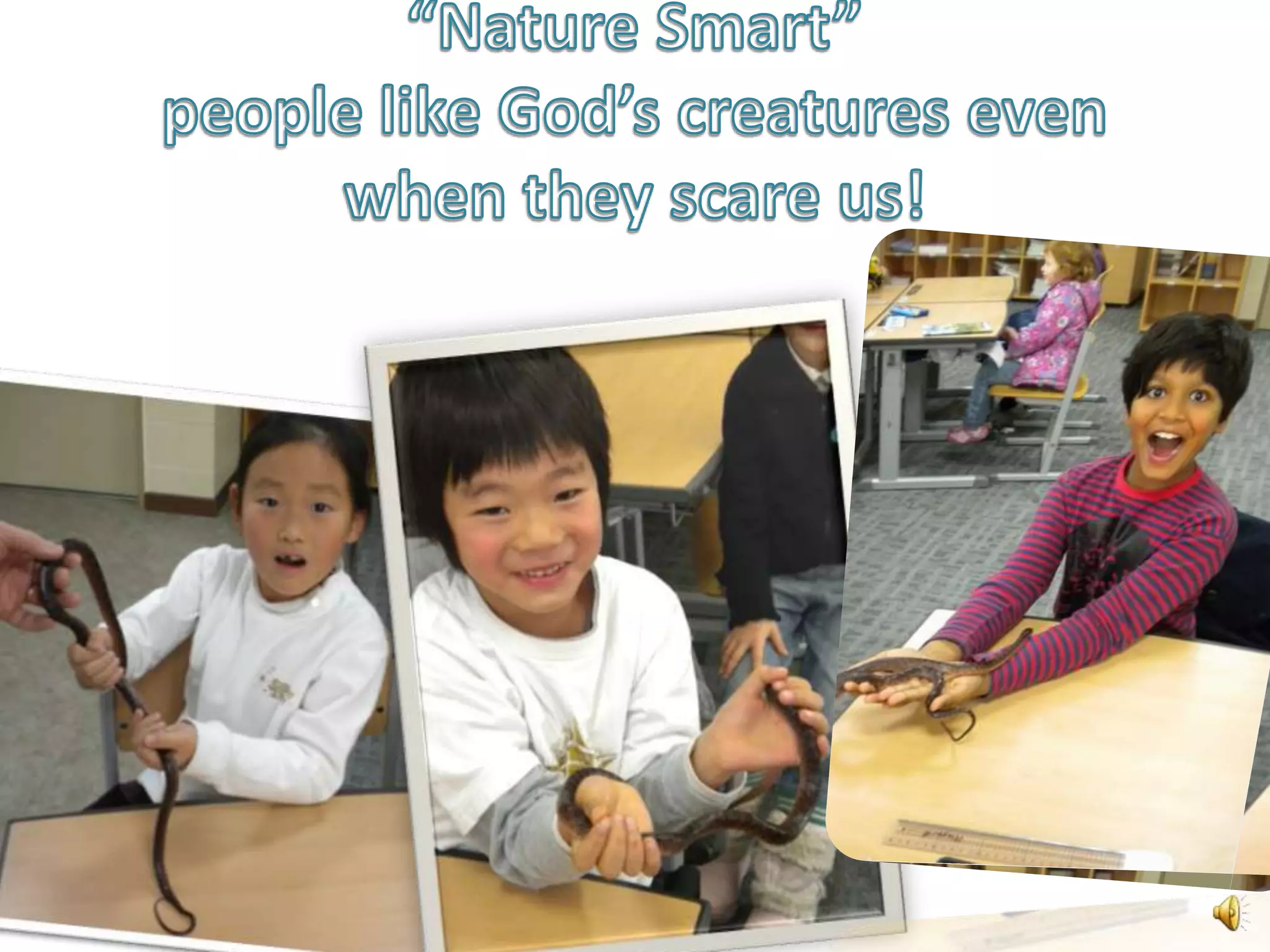 Grade 2 Communication Presentation | PPTX