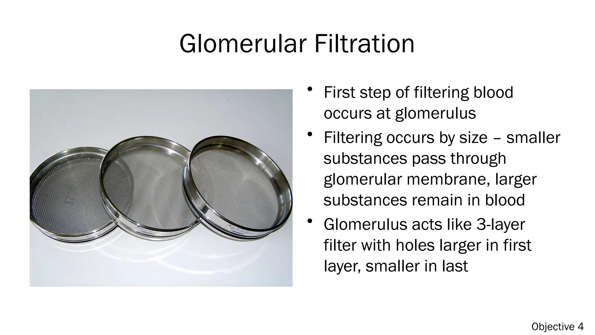 HTHS 1104 Unit 15, Urinary [Autosaved].pptx