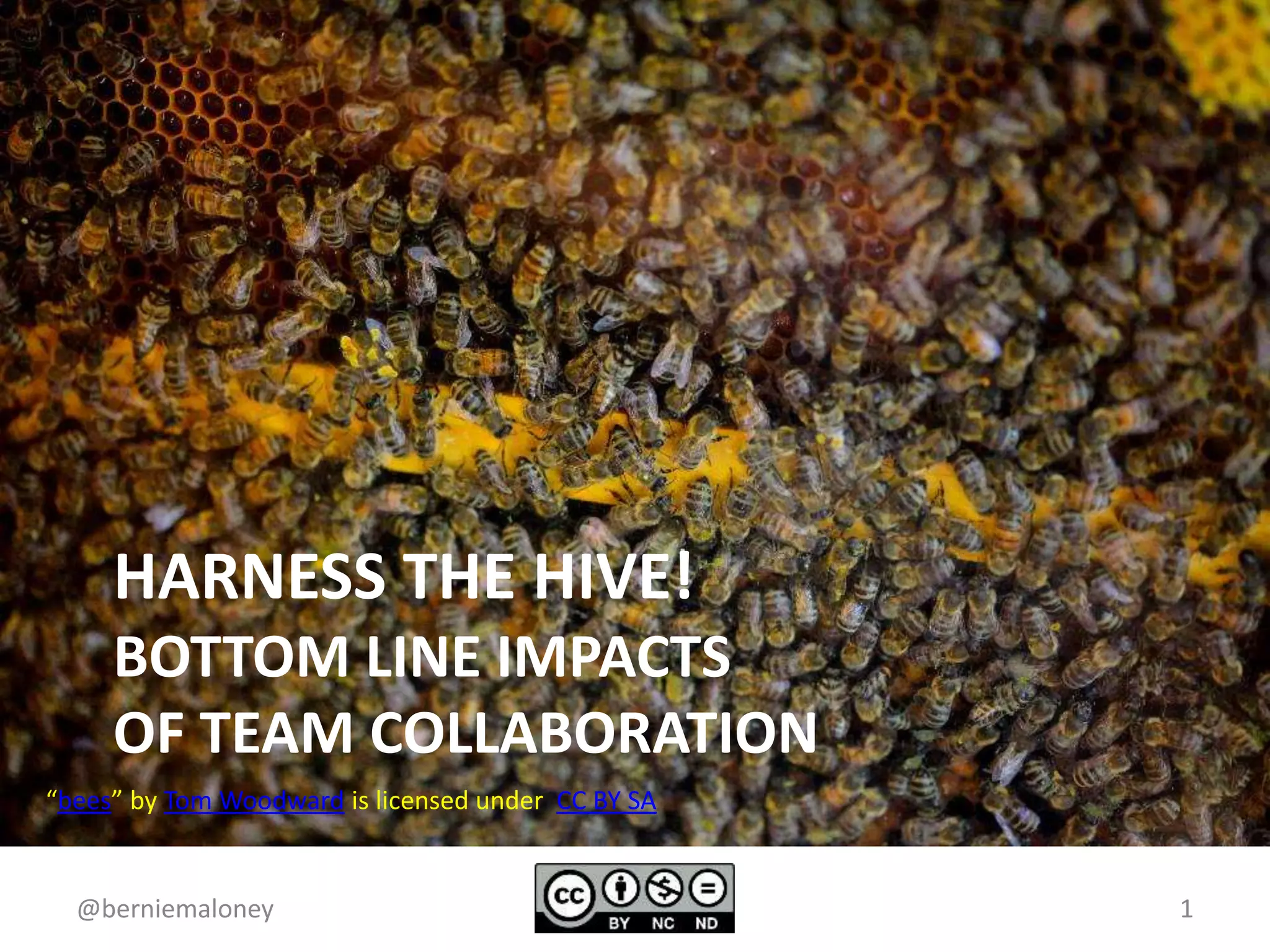 Harness The Hive - Preview | PPT