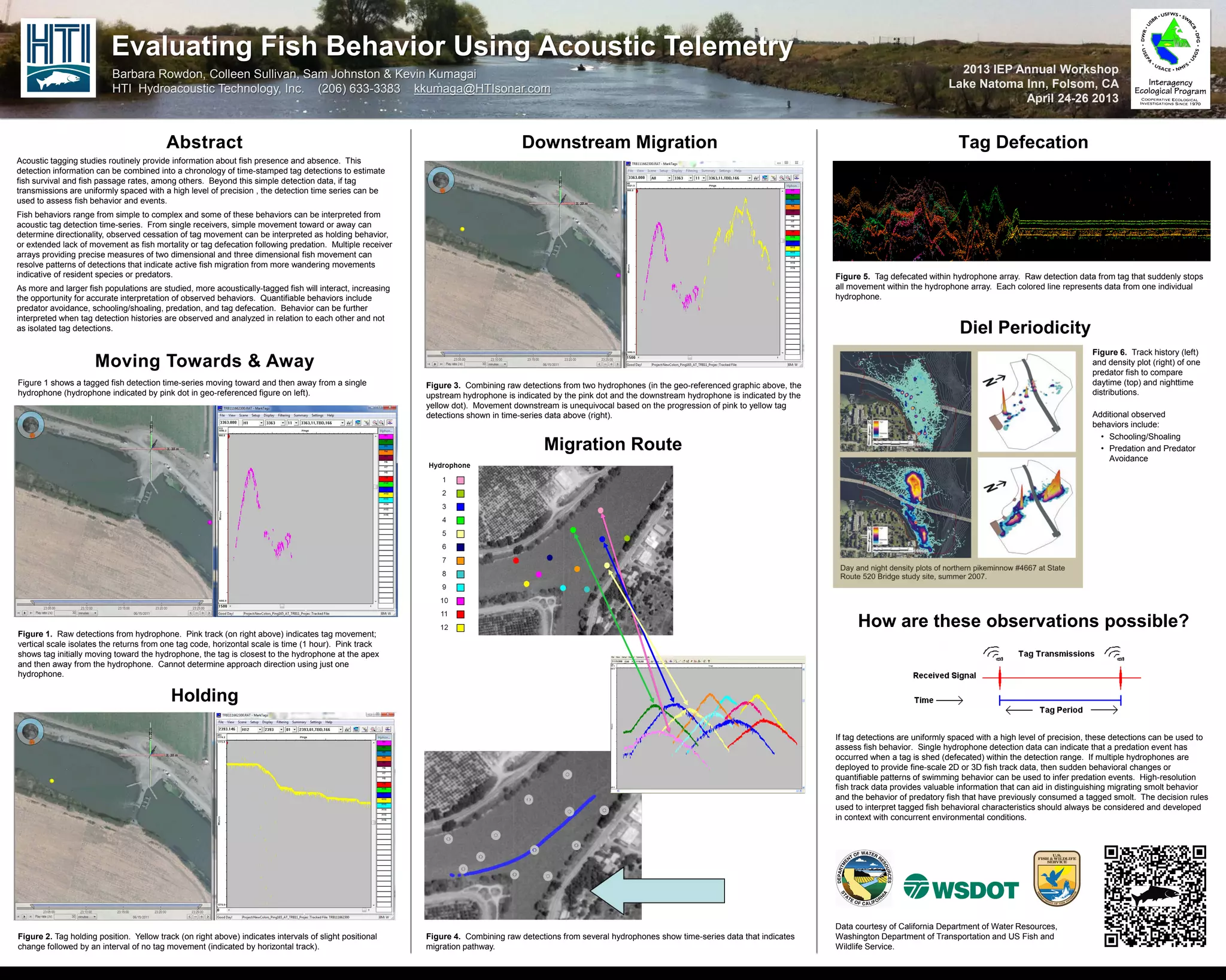 Evaluating Fish Behavior Using Acoustic Telemetry | PPT