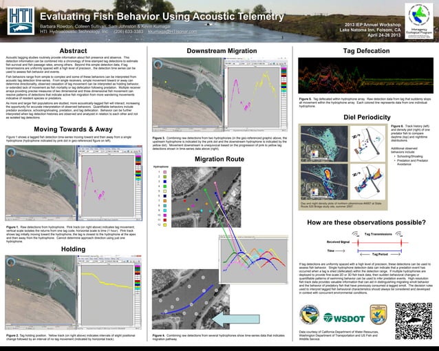Evaluating Fish Behavior Using Acoustic Telemetry | PPT