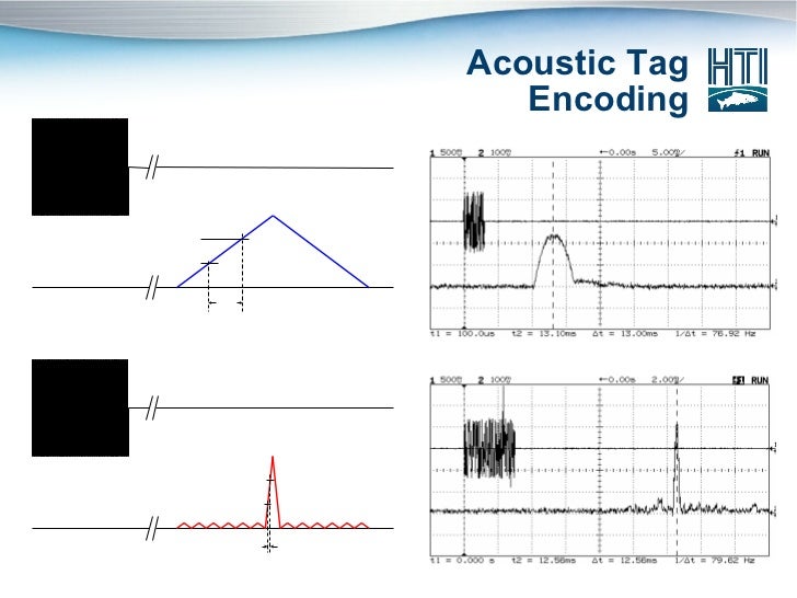 HTI Acoustic Tags To Track Fish