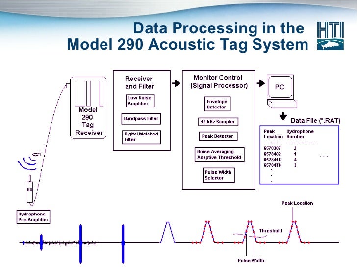 HTI Acoustic Tags To Track Fish