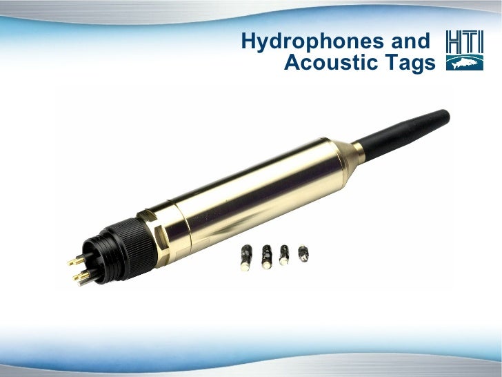 HTI Acoustic Tags To Track Fish