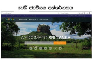 HTML/Web Development (Grade 11-ICT) | PDF