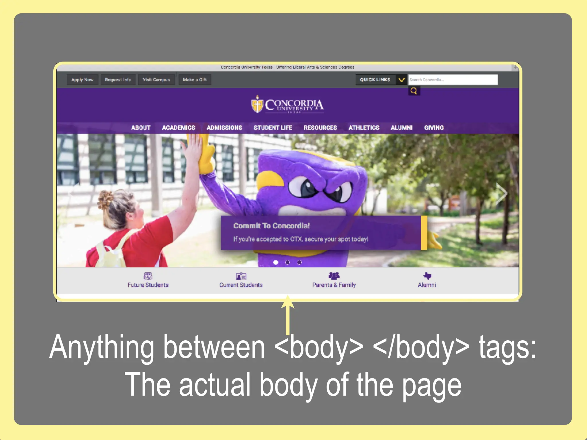 Introduction to the Basics of Hypertext Markup Language | PPT