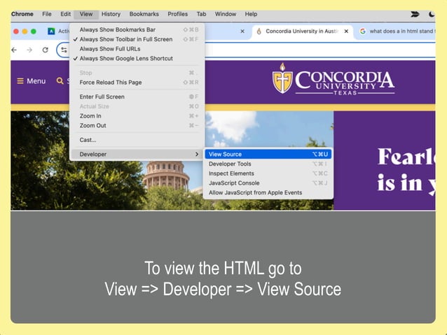 Introduction To The Basics Of Hypertext Markup Language Ppt