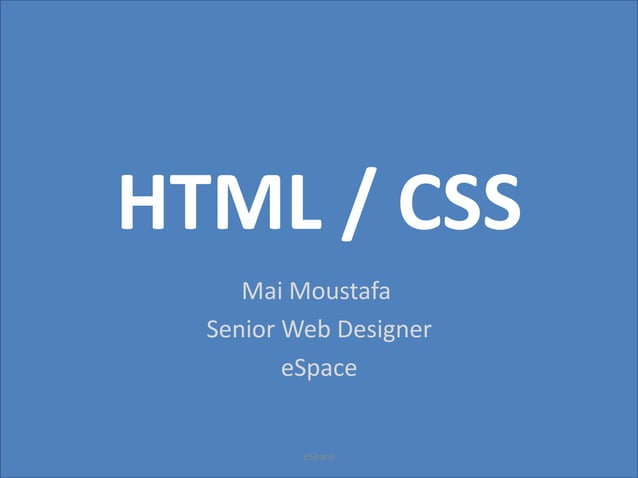 HTML CSS Basics | PDF