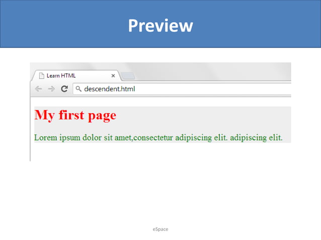 HTML CSS Basics | PDF