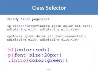 HTML CSS Basics | PPT