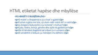 Hyrje në HTML | PPTX