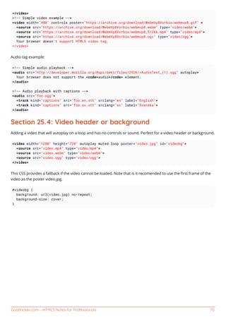 Html5 notes for professionals | PDF