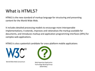 Developing with HTML5 | PPT