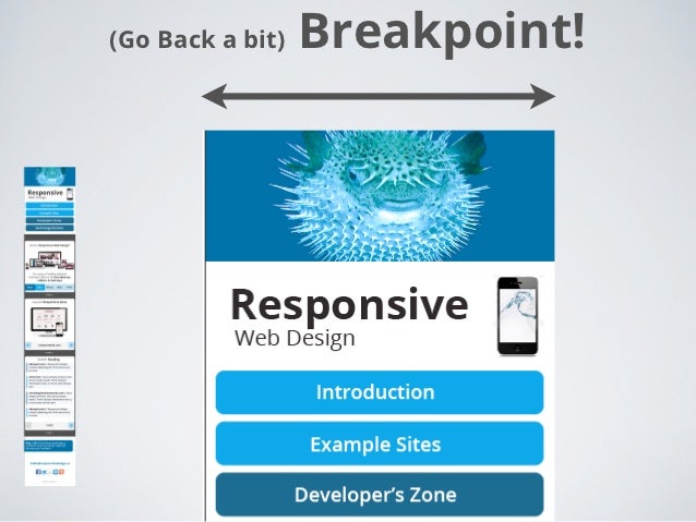 Responsive Web Design - Introduction & Workflow Overview