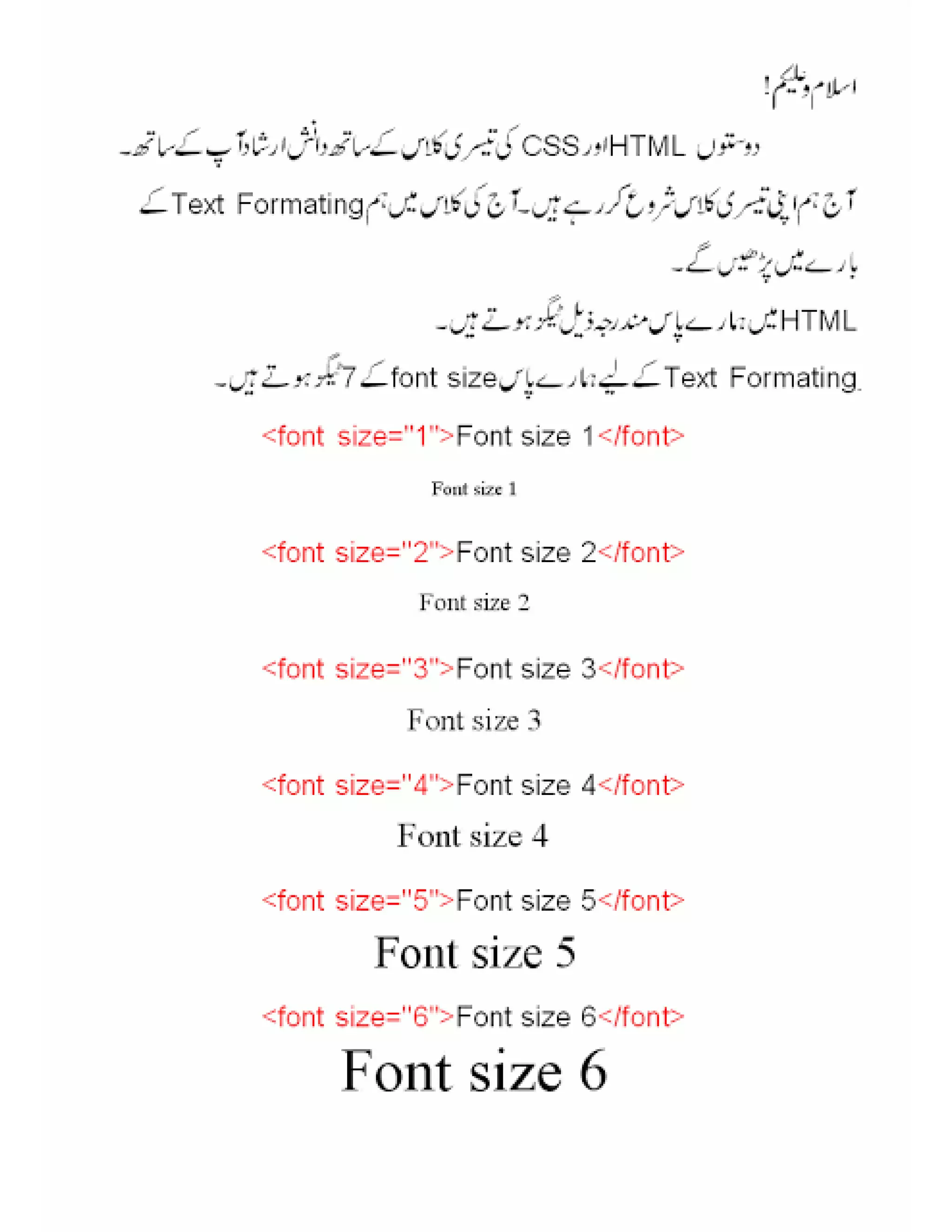 Html and css in urdu by muhammad danish irshad | PDF