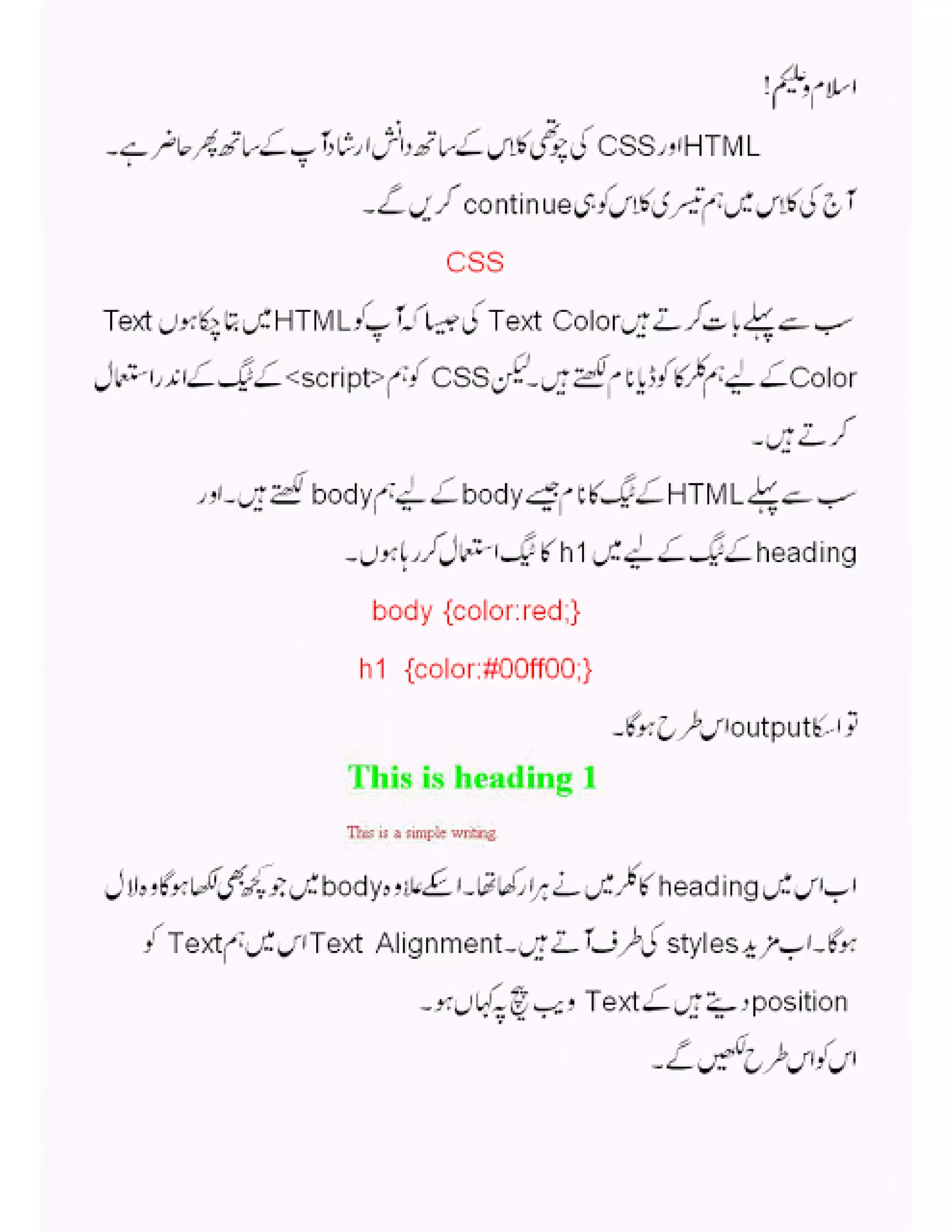 Html and css in urdu by muhammad danish irshad | PDF