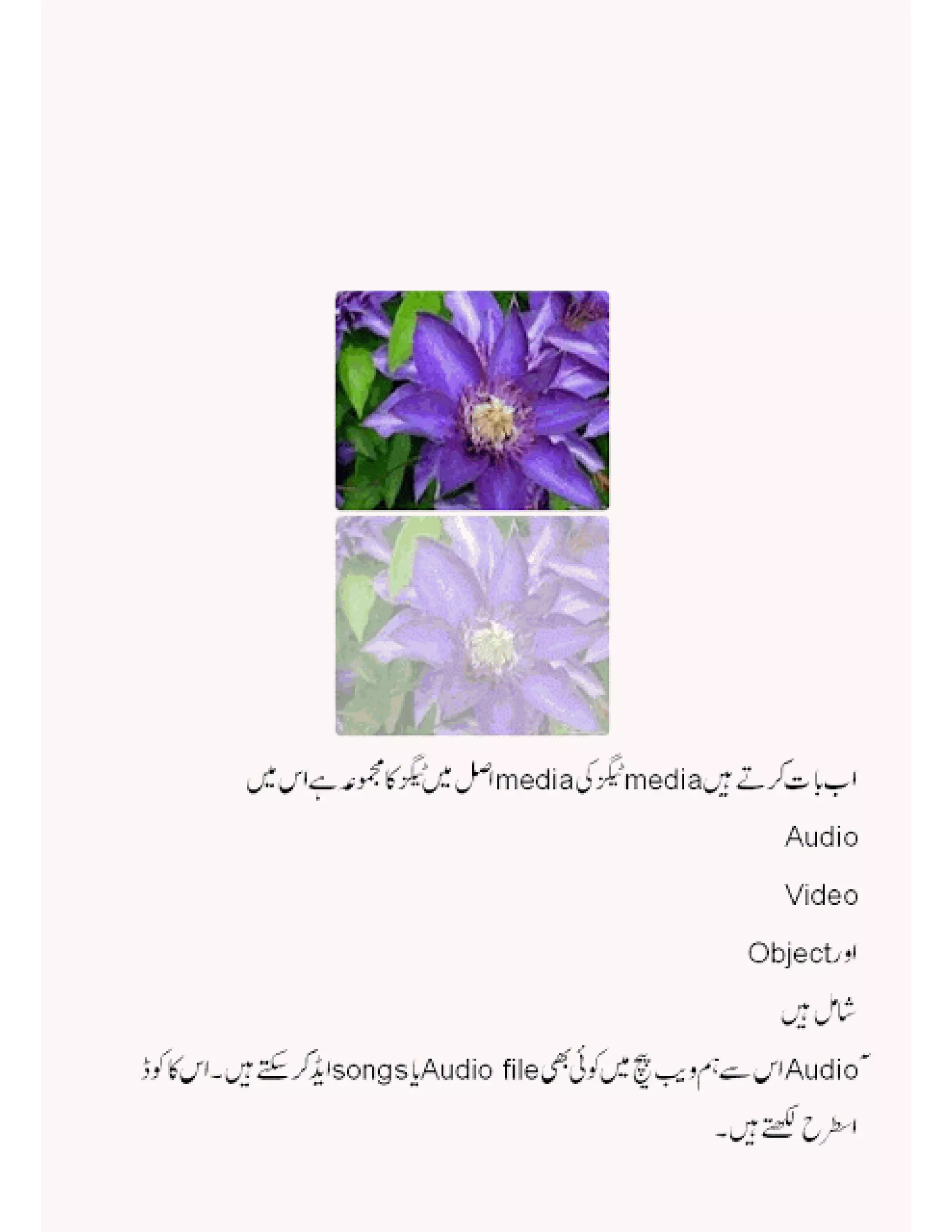 Html and css in urdu by muhammad danish irshad | PDF