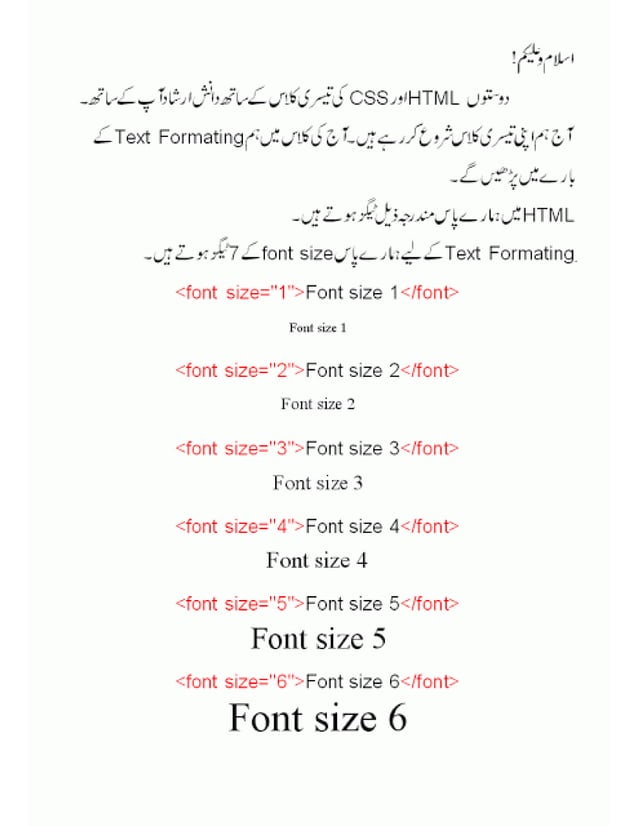 Html And Css In Urdu By Muhammad Danish Irshad Pdf