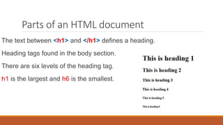 HTML Basics 1 workshop | PPT