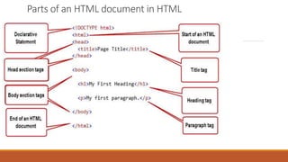 HTML Basics 1 workshop | PPT