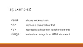 HTML Basics 1 workshop | PPT