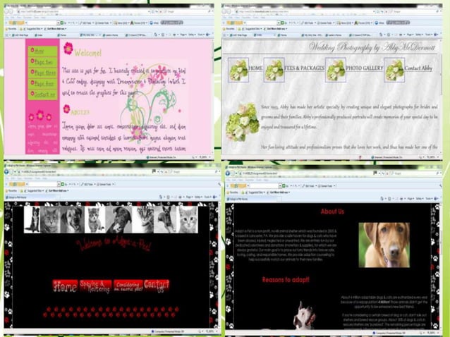 Html, CSS & Web Designing | PPTX