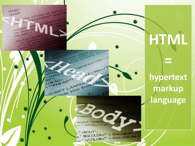 Html, CSS & Web Designing | PPTX