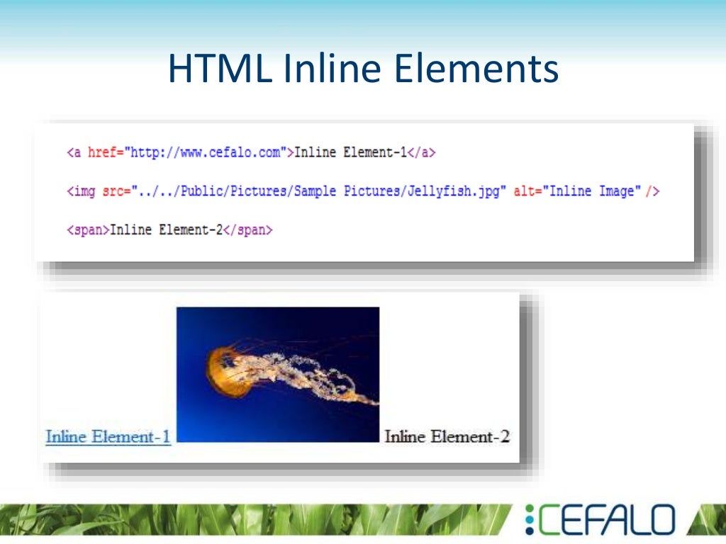 Introduction to HTML and CSS Introduction to HTML and CSS