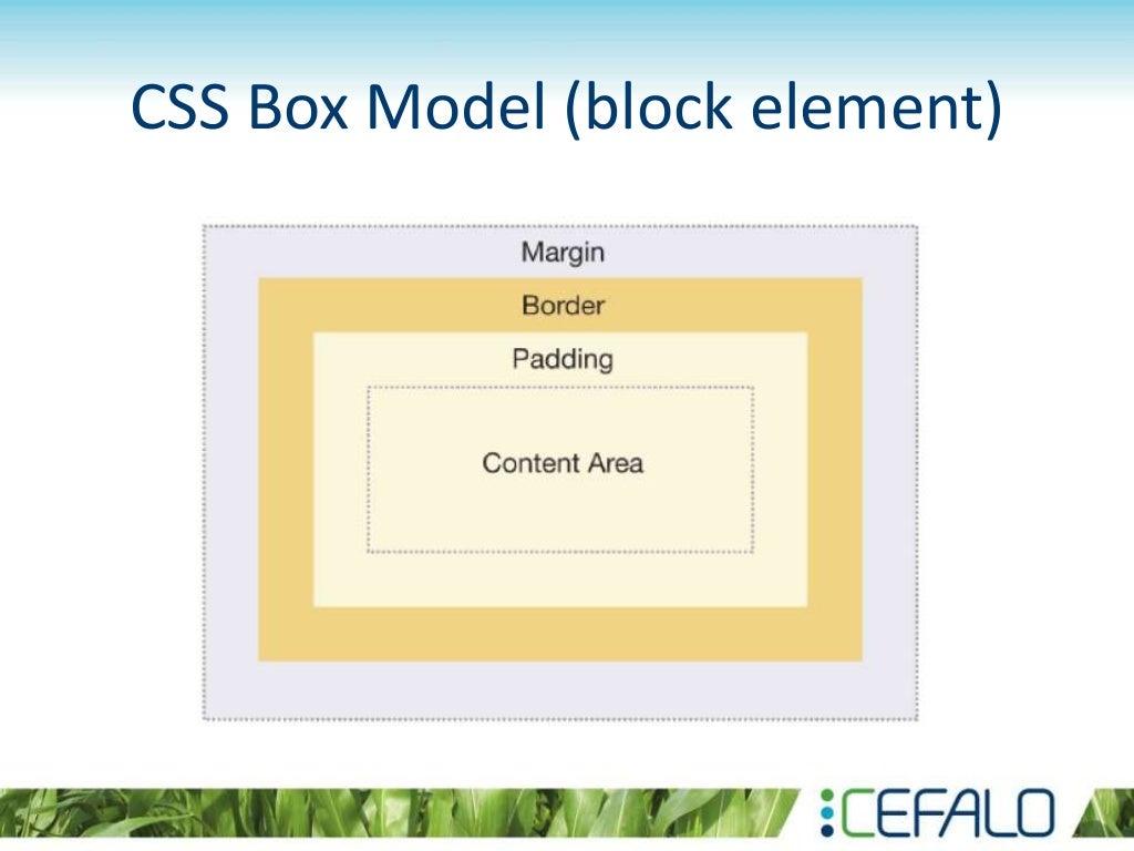 Introduction to HTML and CSS