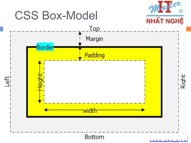 Giáo trình HTML CSS Nhất Nghệ - Lập trình web | PDF