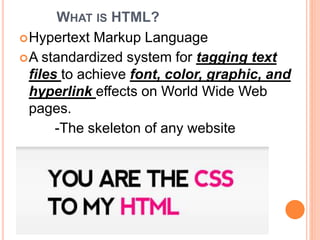 Html&css pp | PPTX | Web Design and HTML | Internet