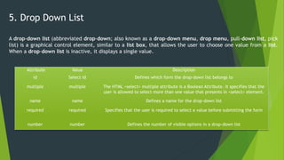 Html Form Controls | PDF
