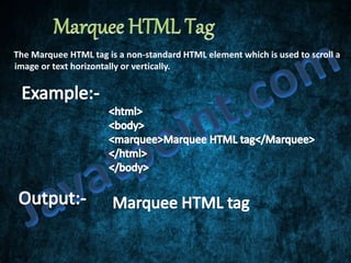 HTML Tags | PPSX
