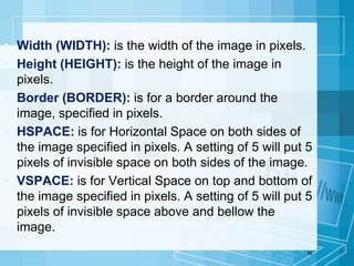 Html Basic Tags | PPTX