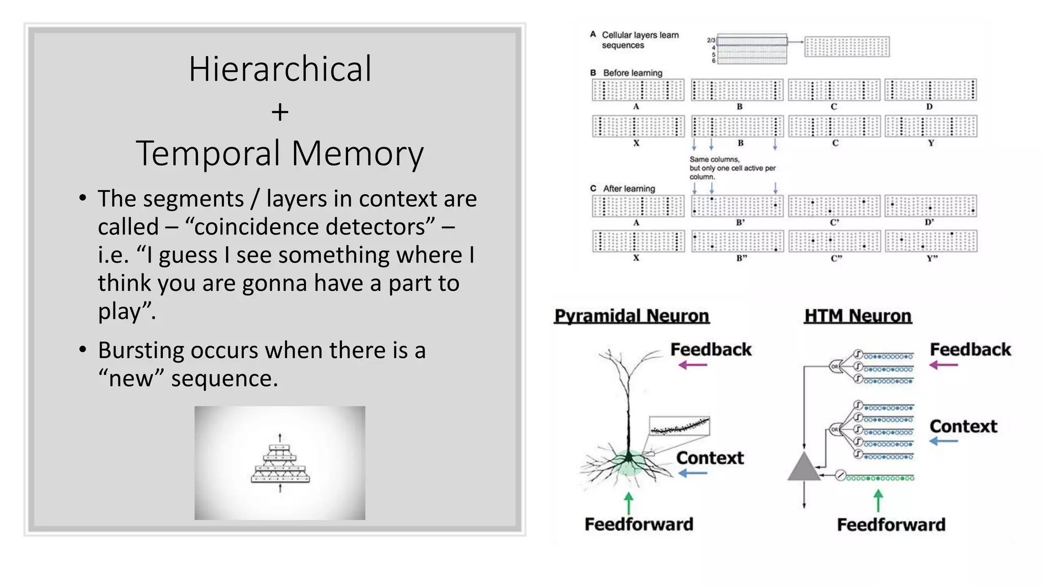 Hierarchical Temporal Memory Xceedance Pptx Artificial Intelligence