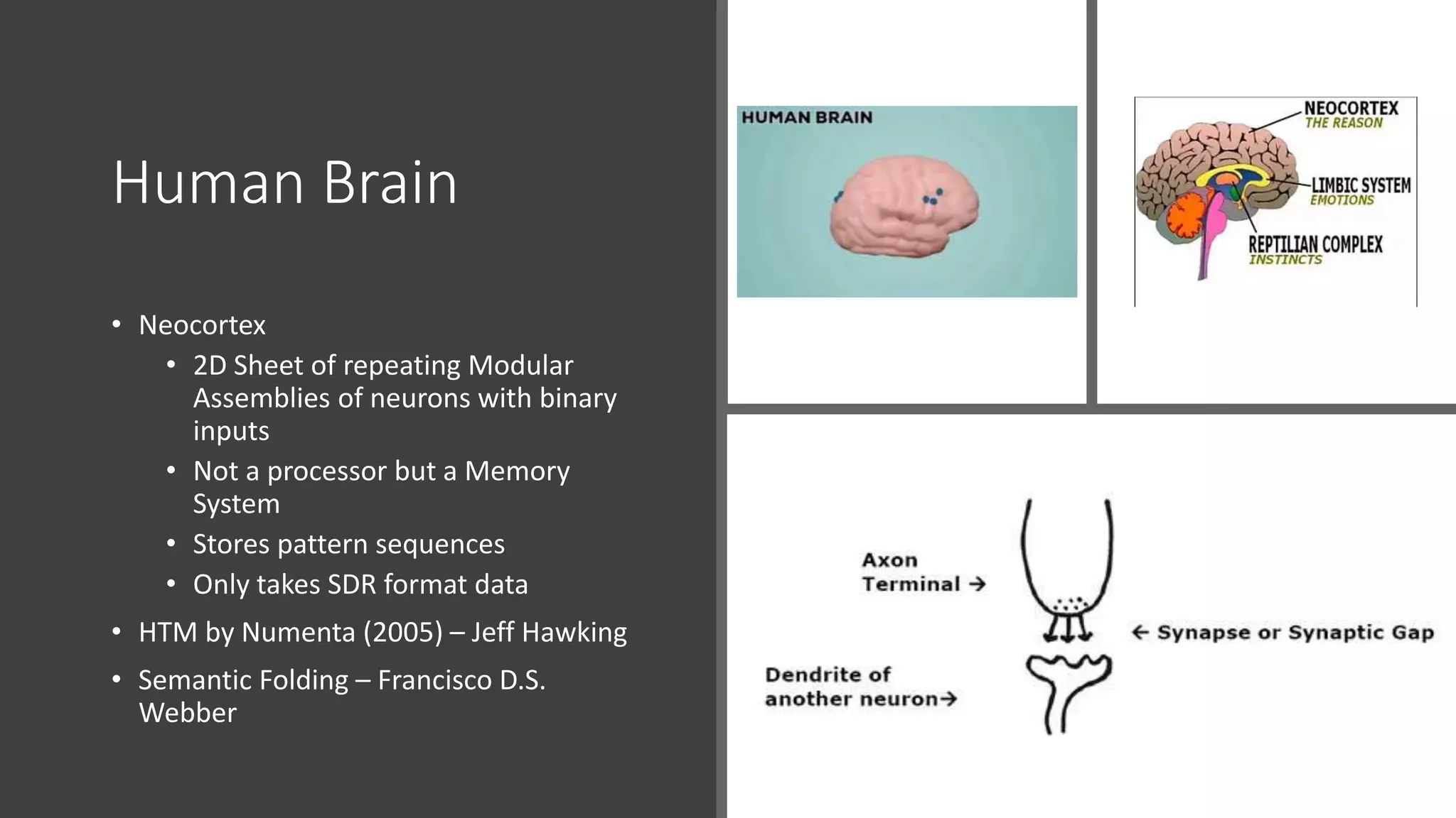 Hierarchical Temporal Memory Xceedance Ppt