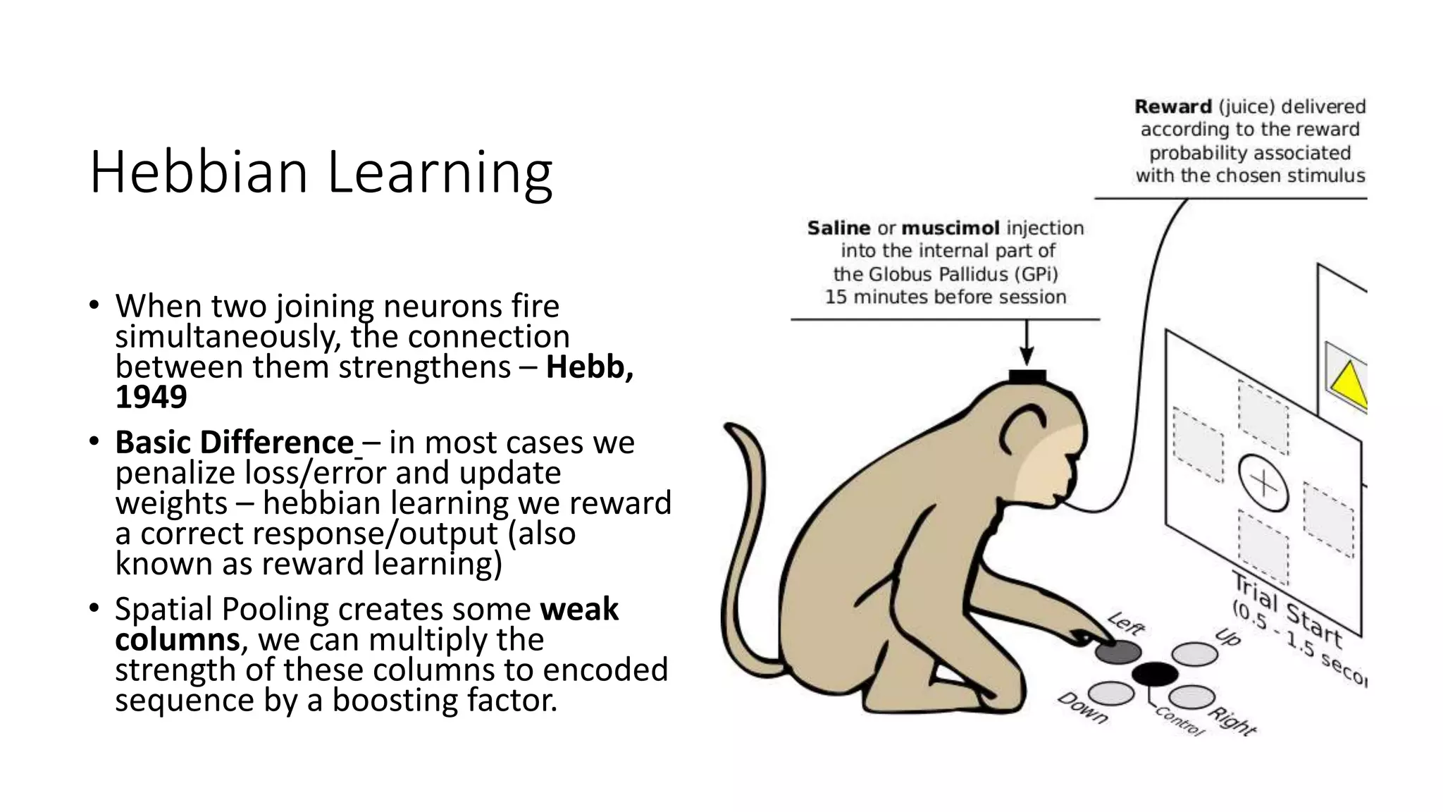Hierarchical Temporal Memory Xceedance Pptx Artificial Intelligence Technology And Computing