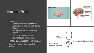Hierarchical Temporal Memory Xceedance | PPTX