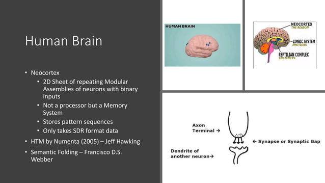 Hierarchical Temporal Memory Xceedance | PPTX | Artificial Intelligence | Technology & Computing